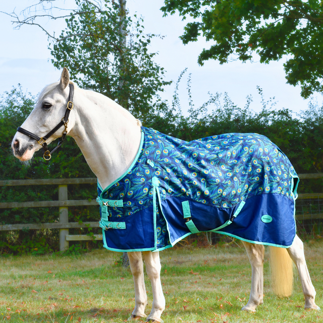 Peacock No Fill Turnout Rug – Ponyo Horsewear