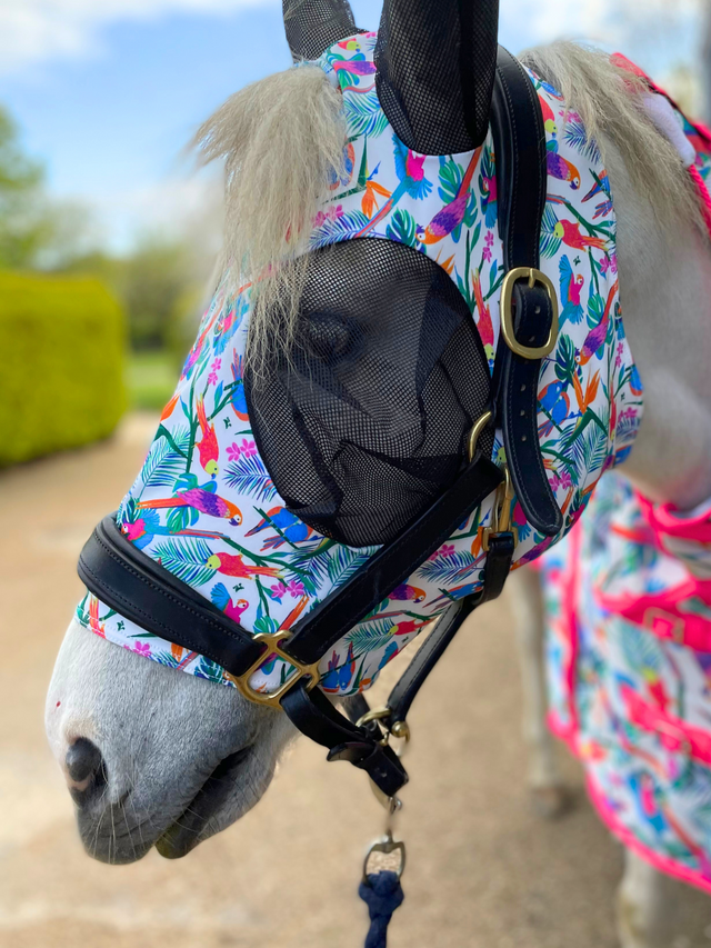 Pretty Polly Fly Mask – Ponyo Horsewear