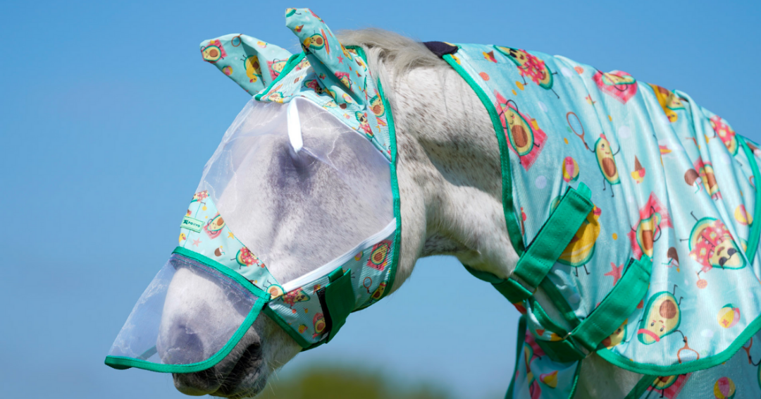Happy Avo Fly Mask – Ponyo Horsewear