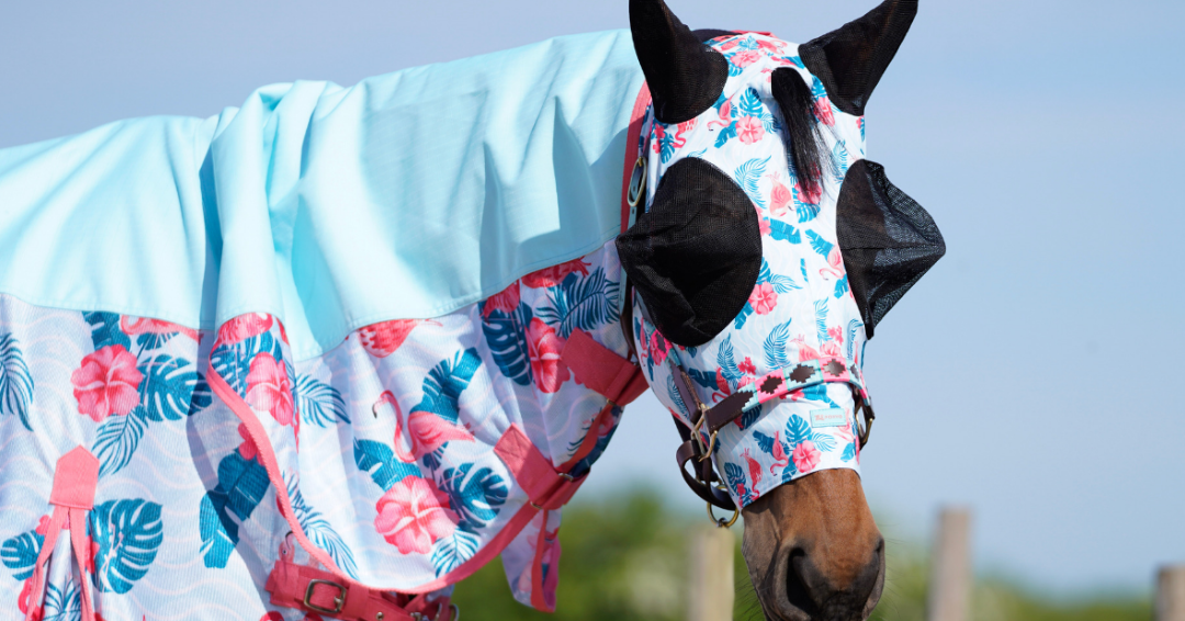 Flamingo Fly Mask – Ponyo Horsewear