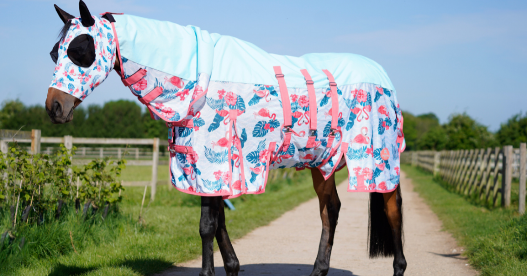 Flamingo Fly Rug – Ponyo Horsewear