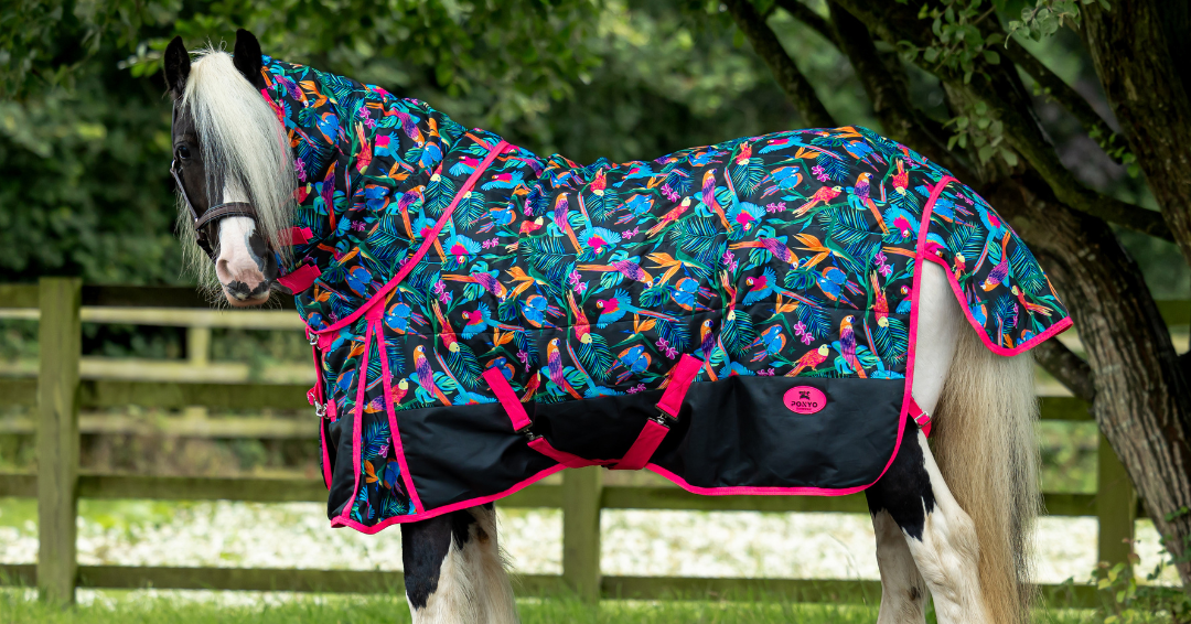 NEW! Pretty Polly Stable Rug – Ponyo Horsewear