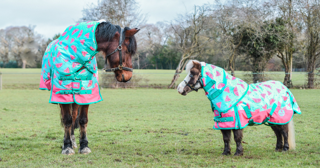 Juicy Watermelon No Fill Turnout Rug – Ponyo Horsewear