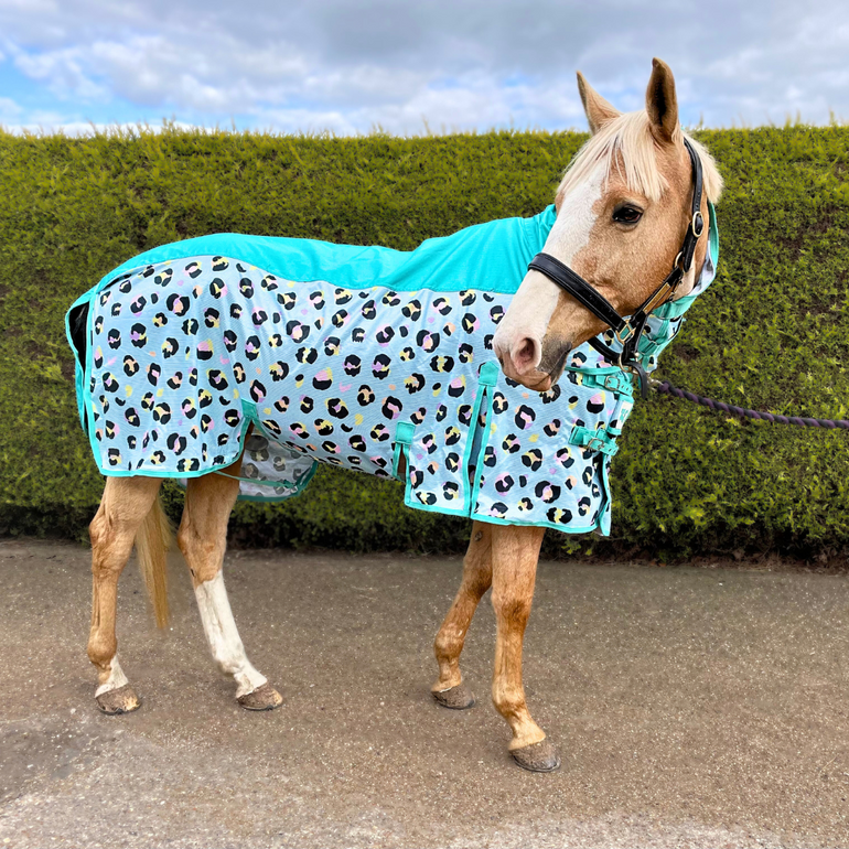 Fly Rugs & Fly Masks – Ponyo Horsewear