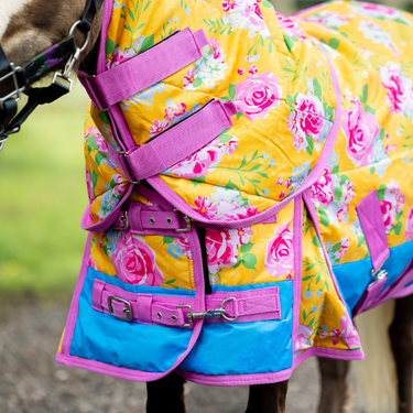 Stable Rugs – Ponyo Horsewear
