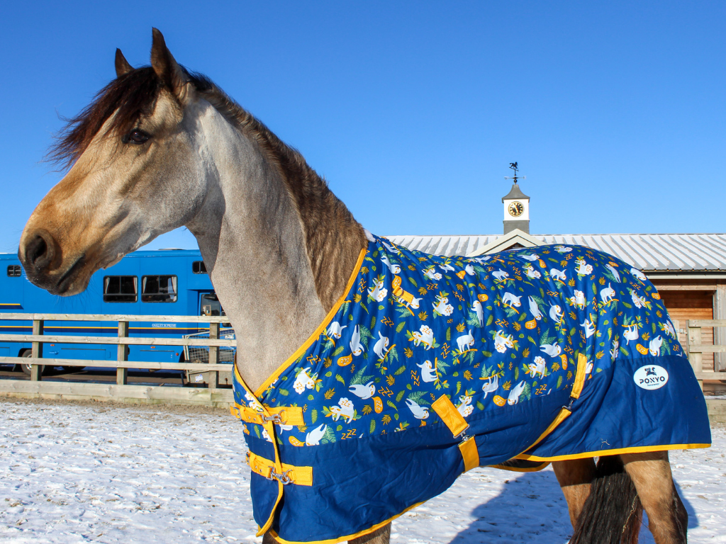 Stable Rugs – Ponyo Horsewear