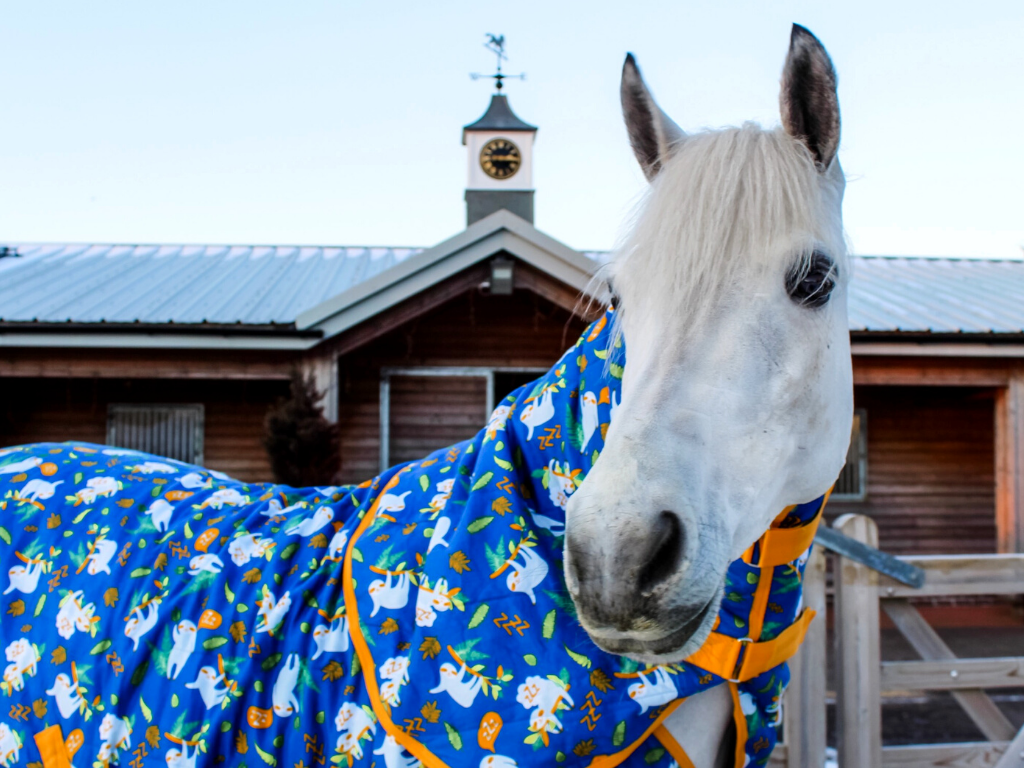 Stable Rugs – Ponyo Horsewear
