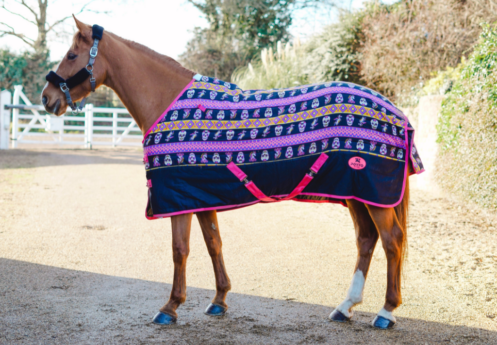 Stable Rugs – Ponyo Horsewear